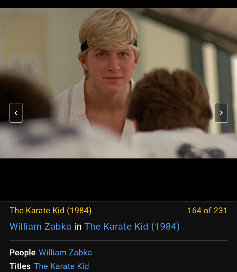 ‎Live Poll: Favorite 'Karate Kid' Villain | IMDb Community Forums